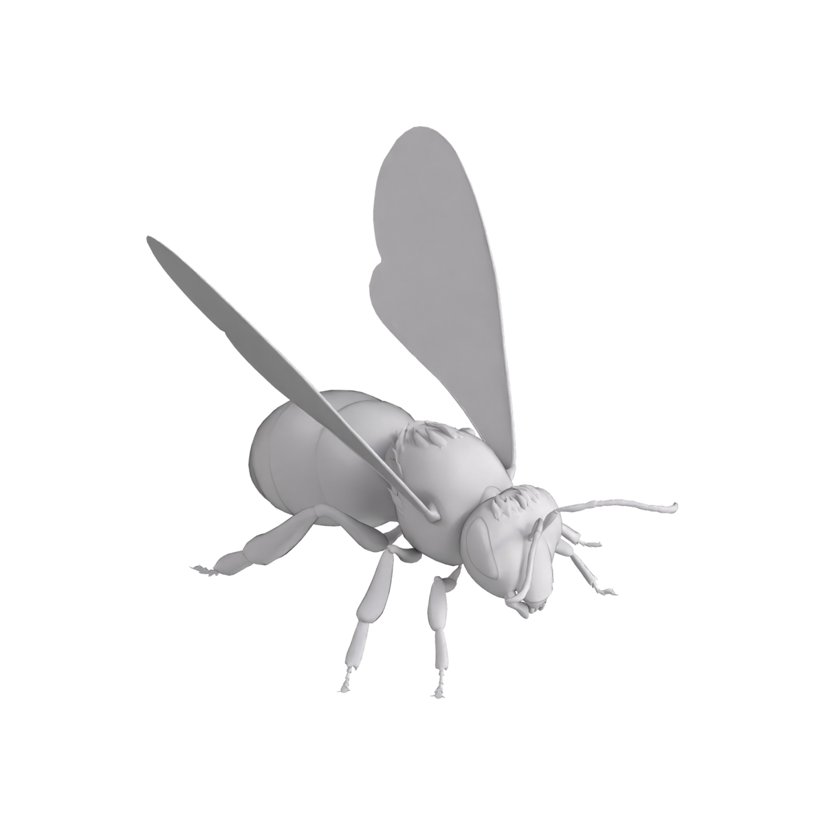 Wasp Model on Substance 3D Community Assets
