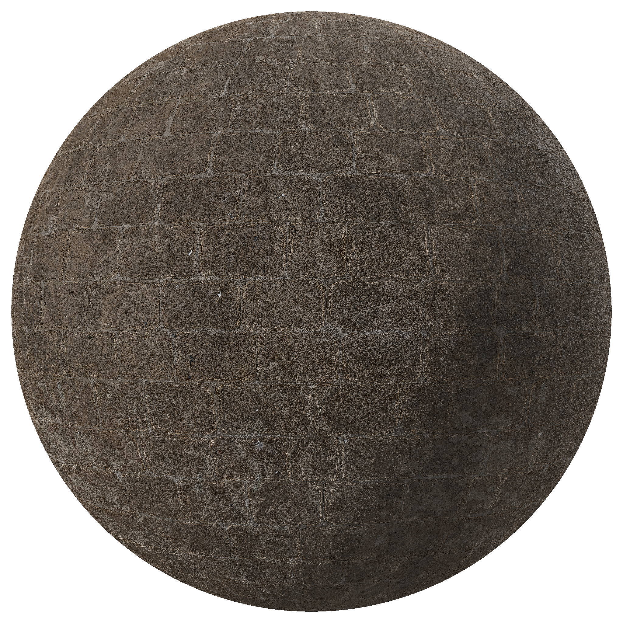 Bark Practice Substance Material on Substance 3D Community Assets