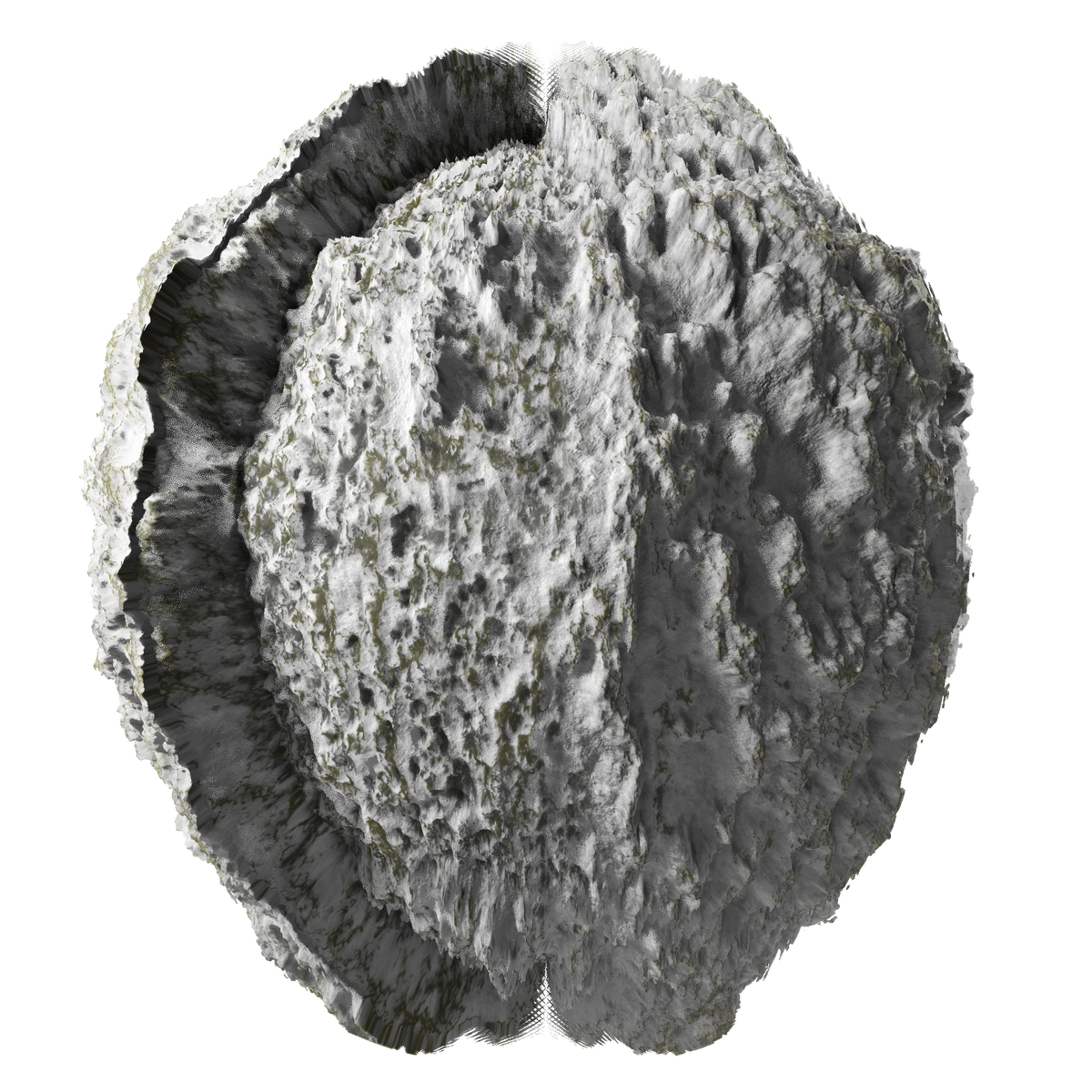 Tree Bark Variation 3 Substance Material on Substance 3D Community Assets
