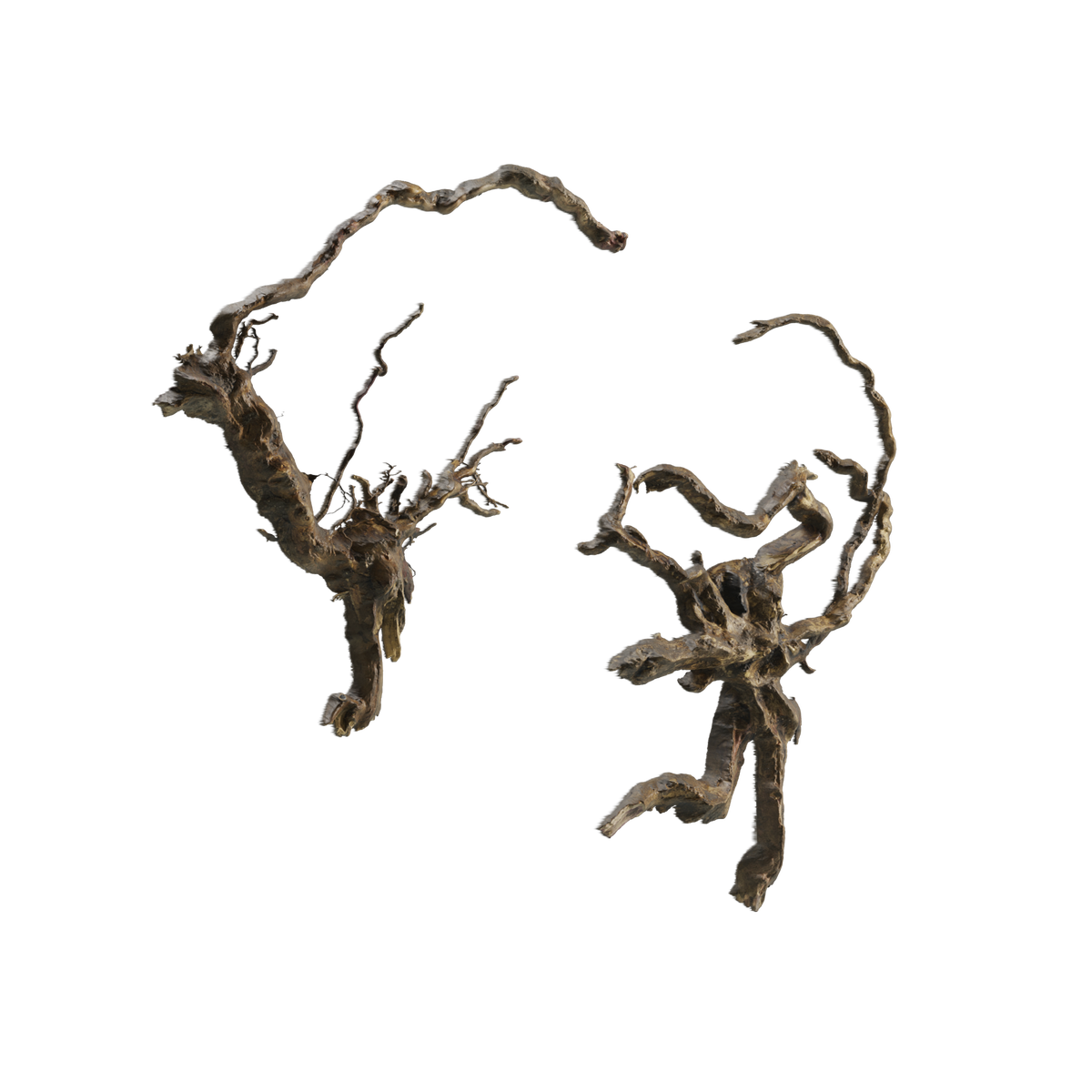 Medium Tree Stump 03 on Substance 3D Assets