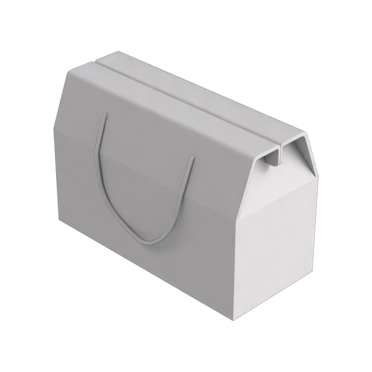 Cardboard Box Bag on Substance 3D Assets