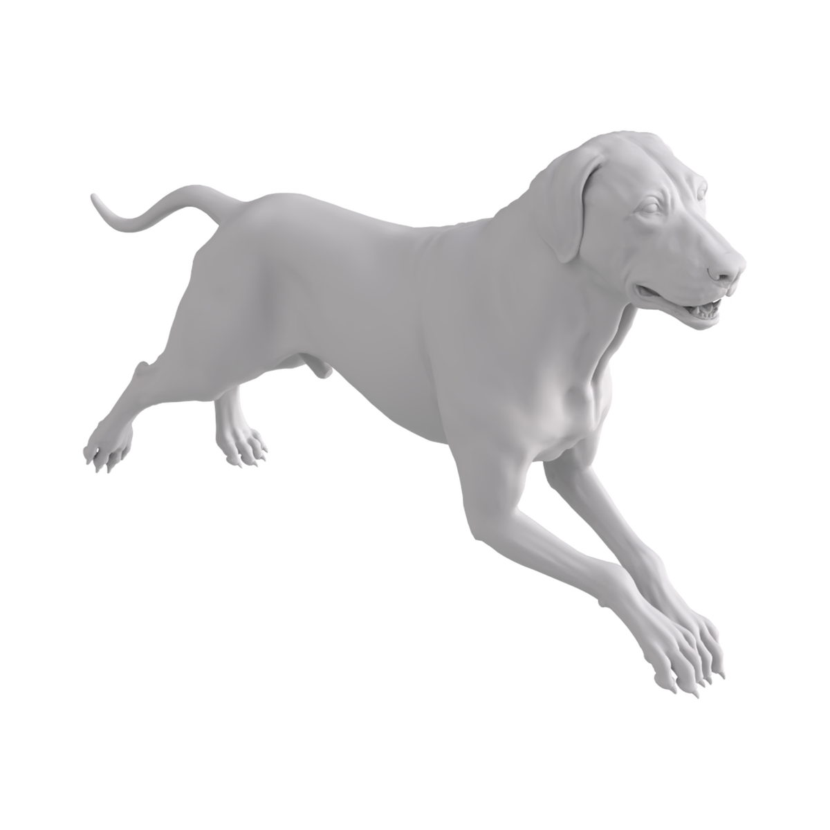 Dog Running on Substance 3D Assets