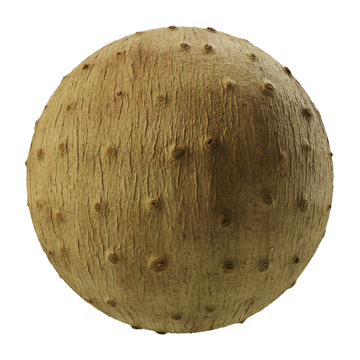 Generic Young Trunk on Substance 3D Assets