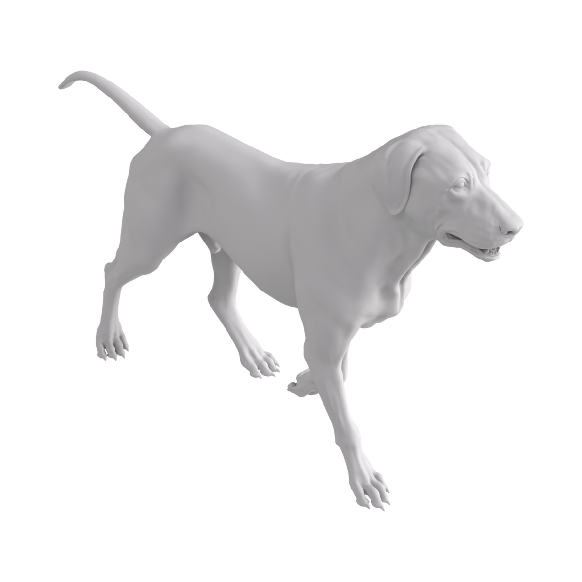 Dog Walking on Substance 3D Assets
