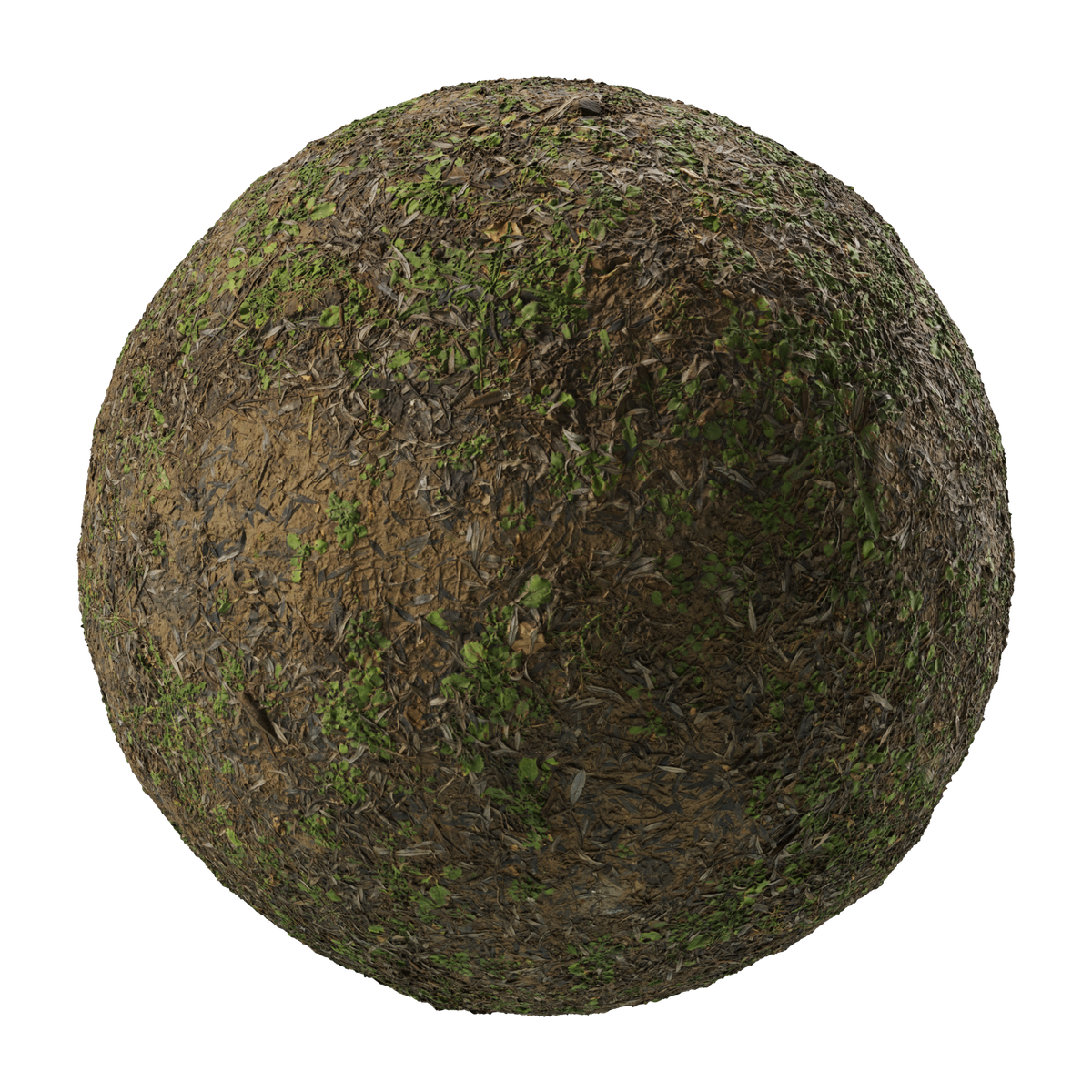 Weeds On Earth Lakeshore on Substance 3D Assets
