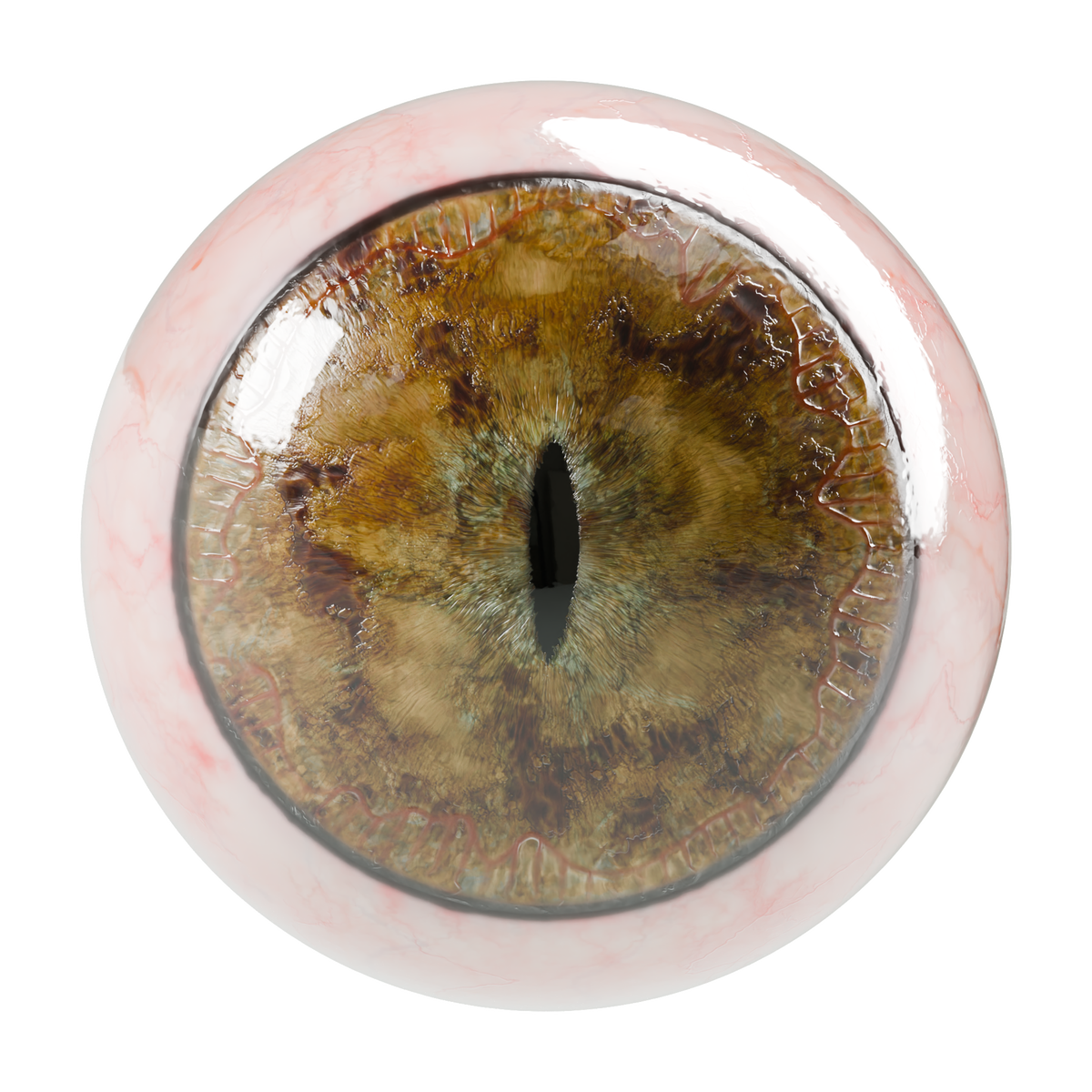 Cat Eye on Substance 3D Assets