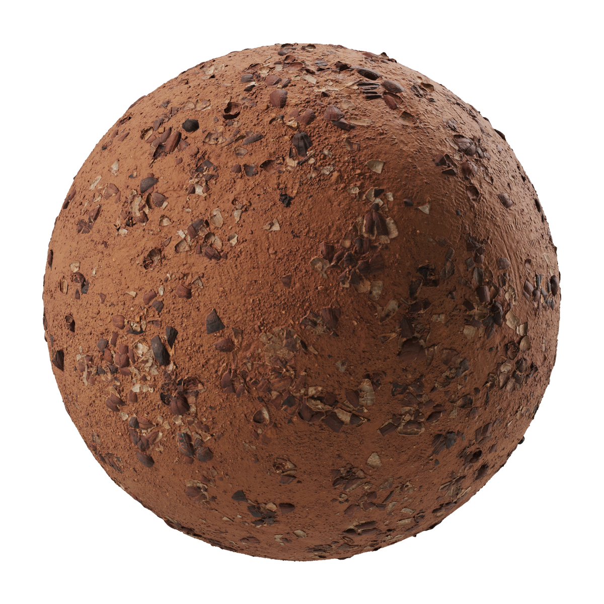 Palm Shell On Sandy Ground on Substance 3D Assets