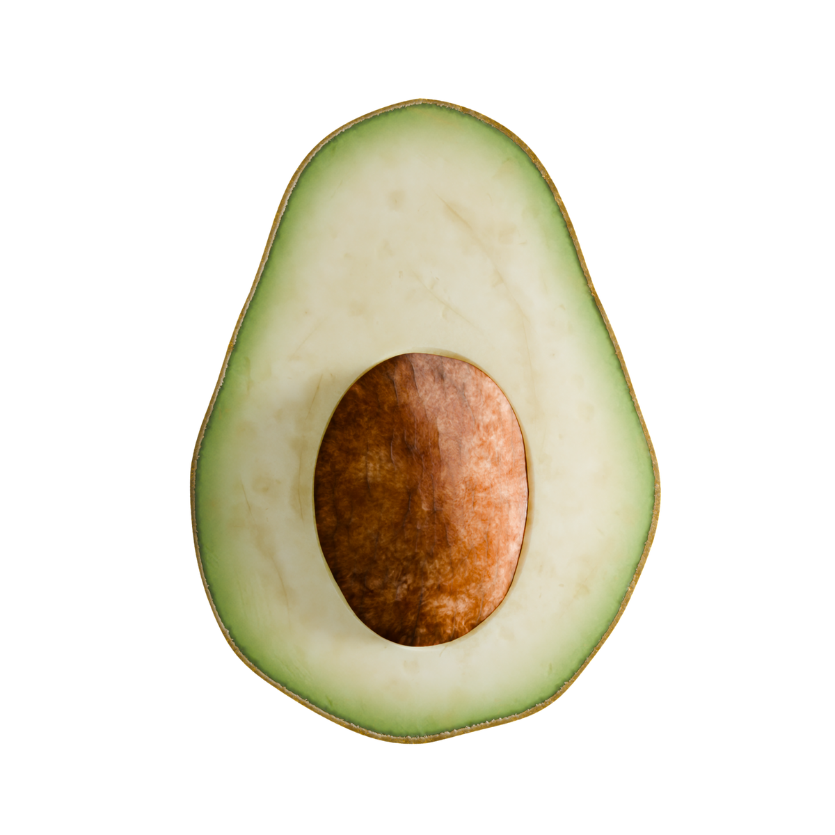 Avocado Flesh on Substance 3D Assets