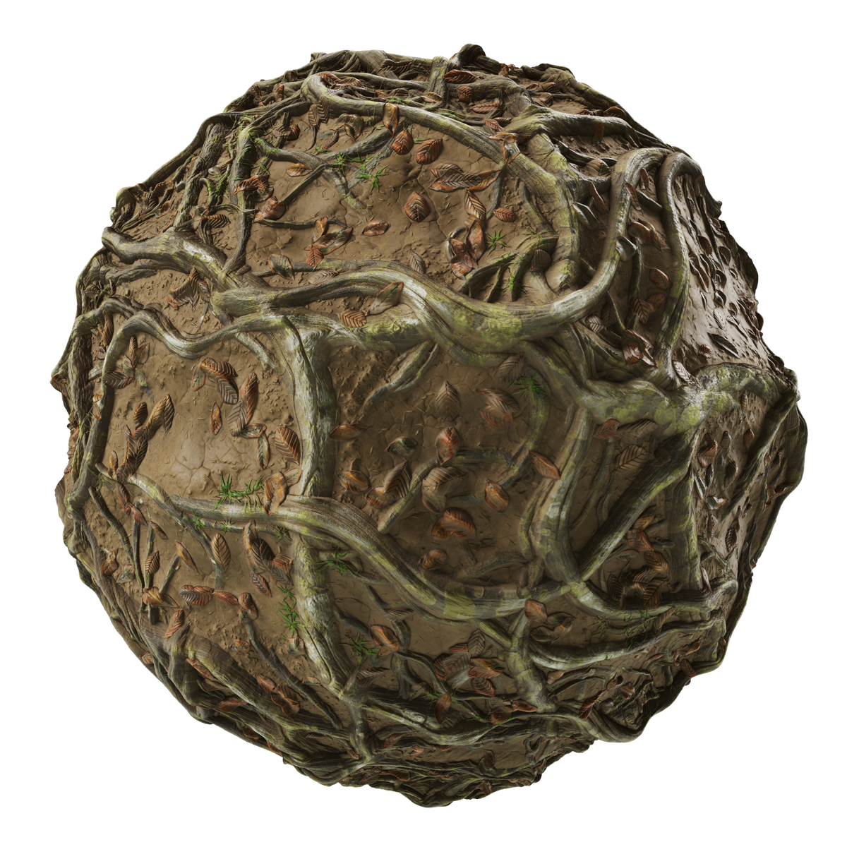 Jungle Ground Roots on Substance 3D Assets