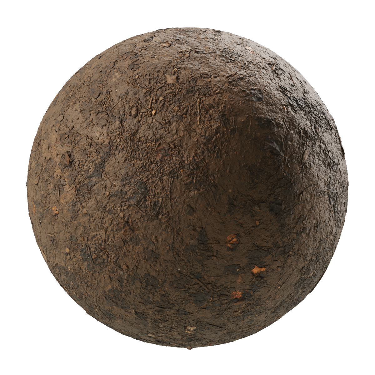 Damp Forest Floor 01 on Substance 3D Assets