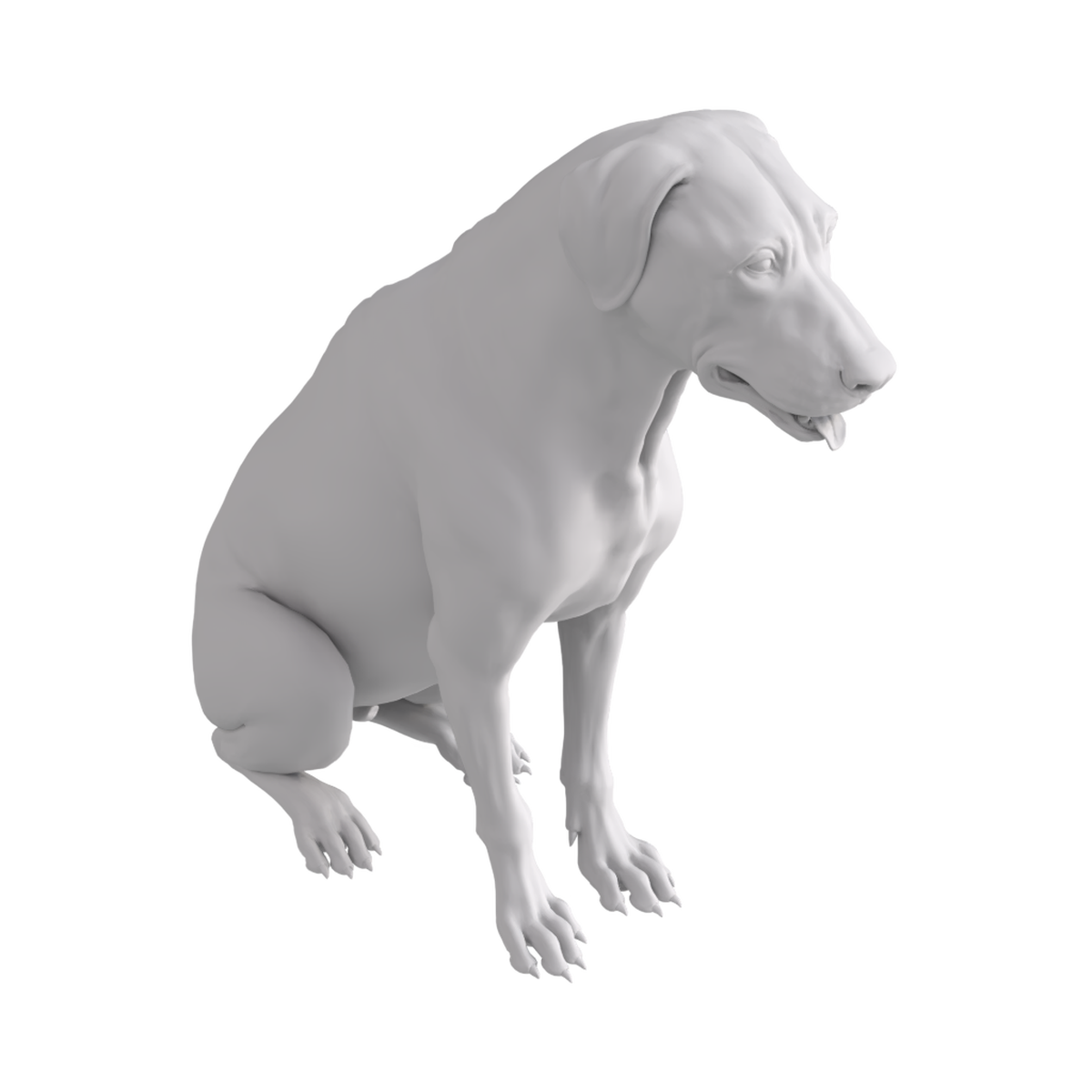 Dog Sitting on Substance 3D Assets