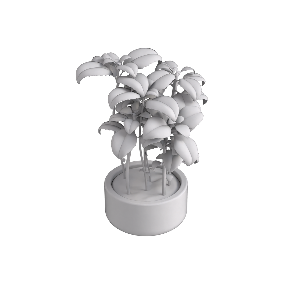 Plant Basil on Substance 3D Assets