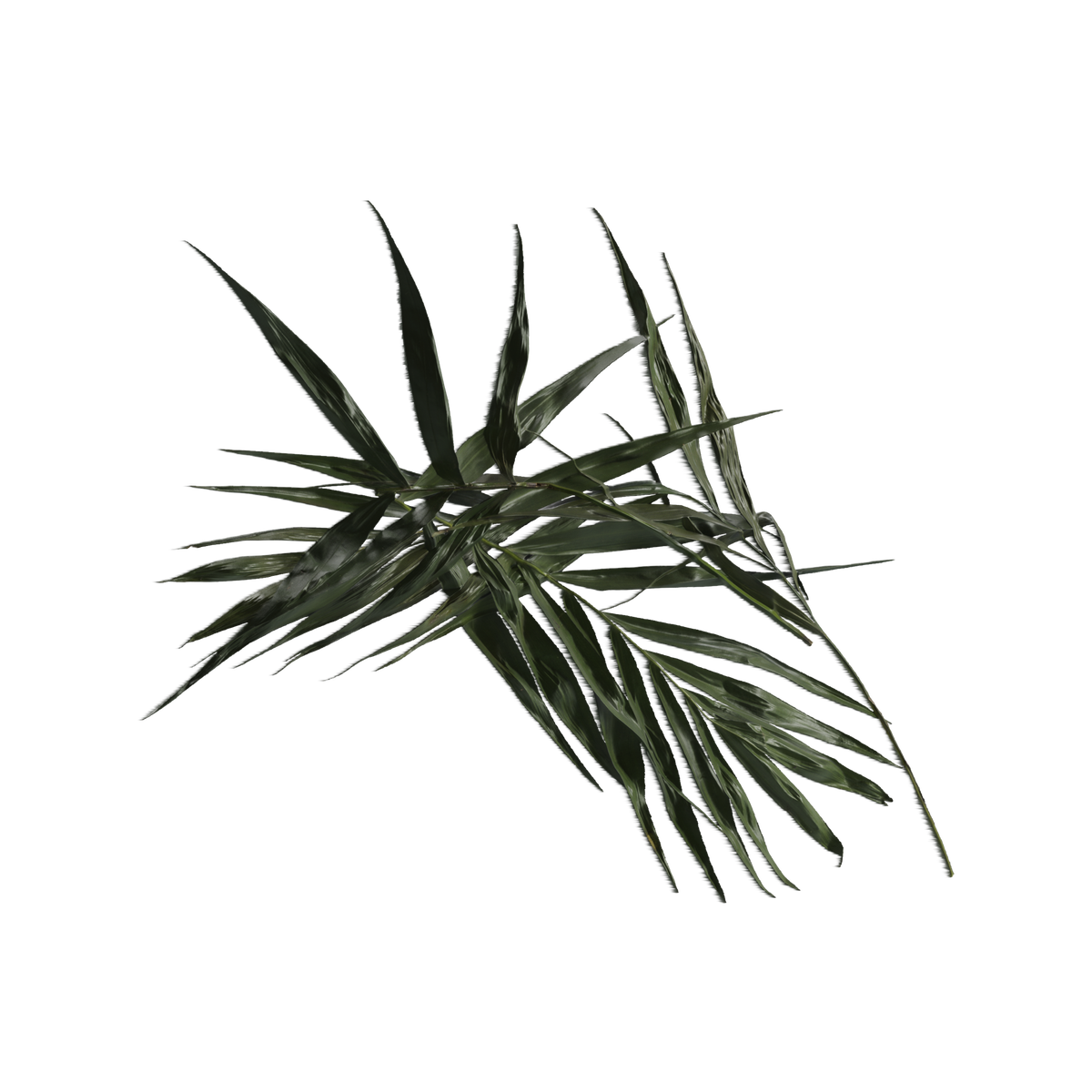 Chico Palm Damaged 02 on Substance 3D Assets