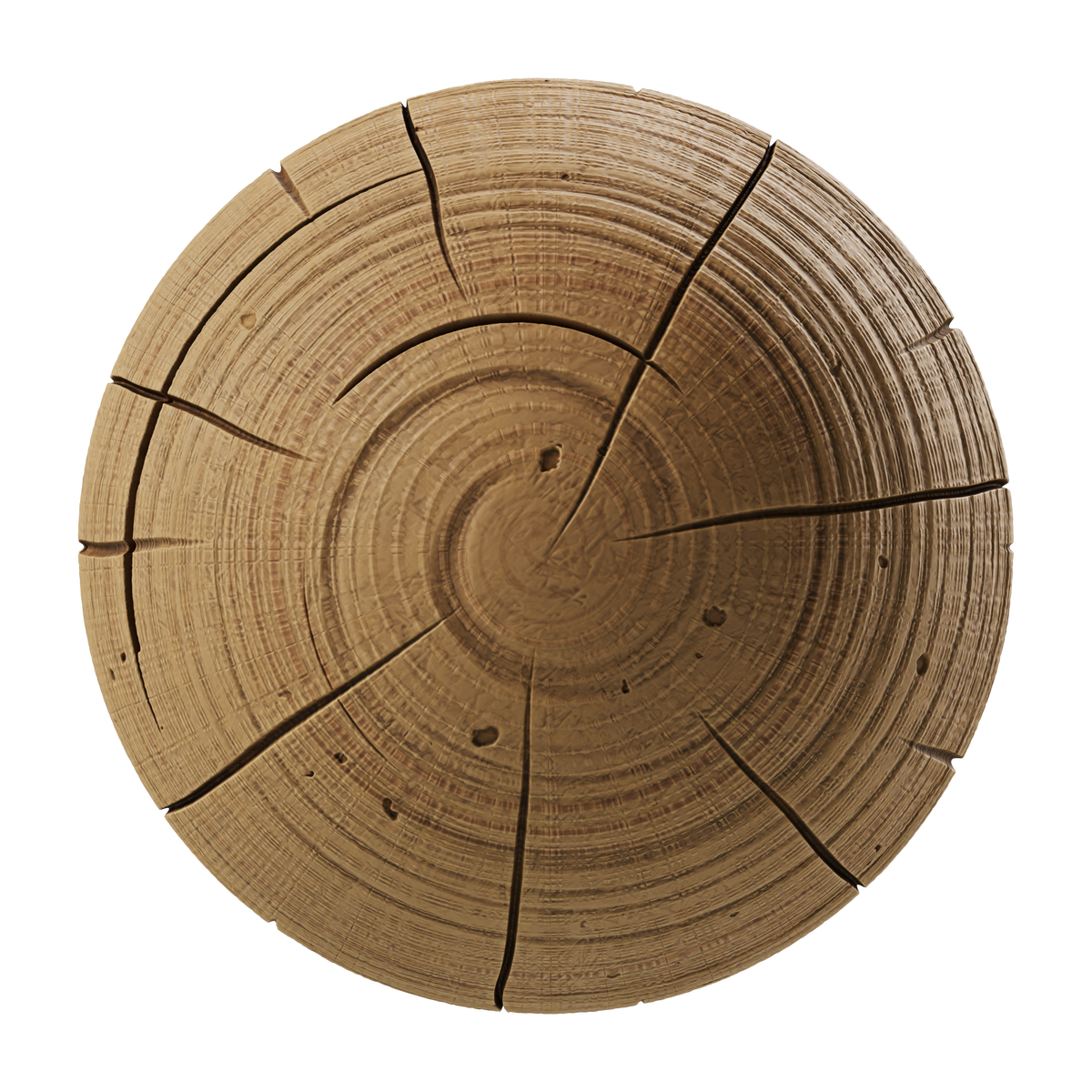 Stylized Tree Trunk Cross Section on Substance 3D Assets