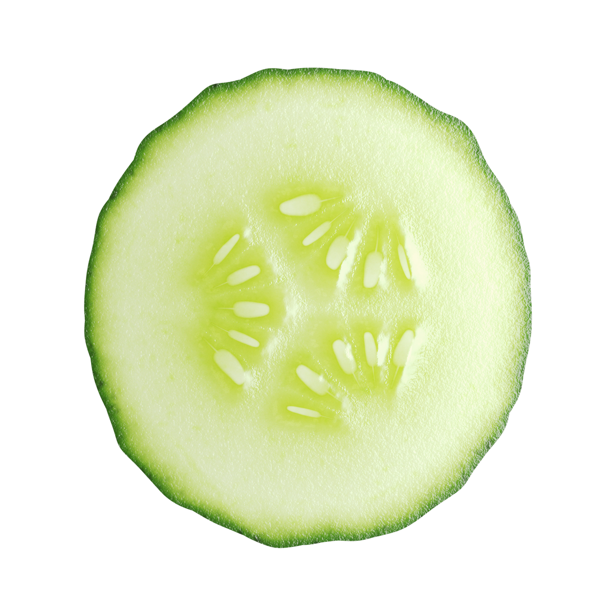 Cucumber Flesh on Substance 3D Assets