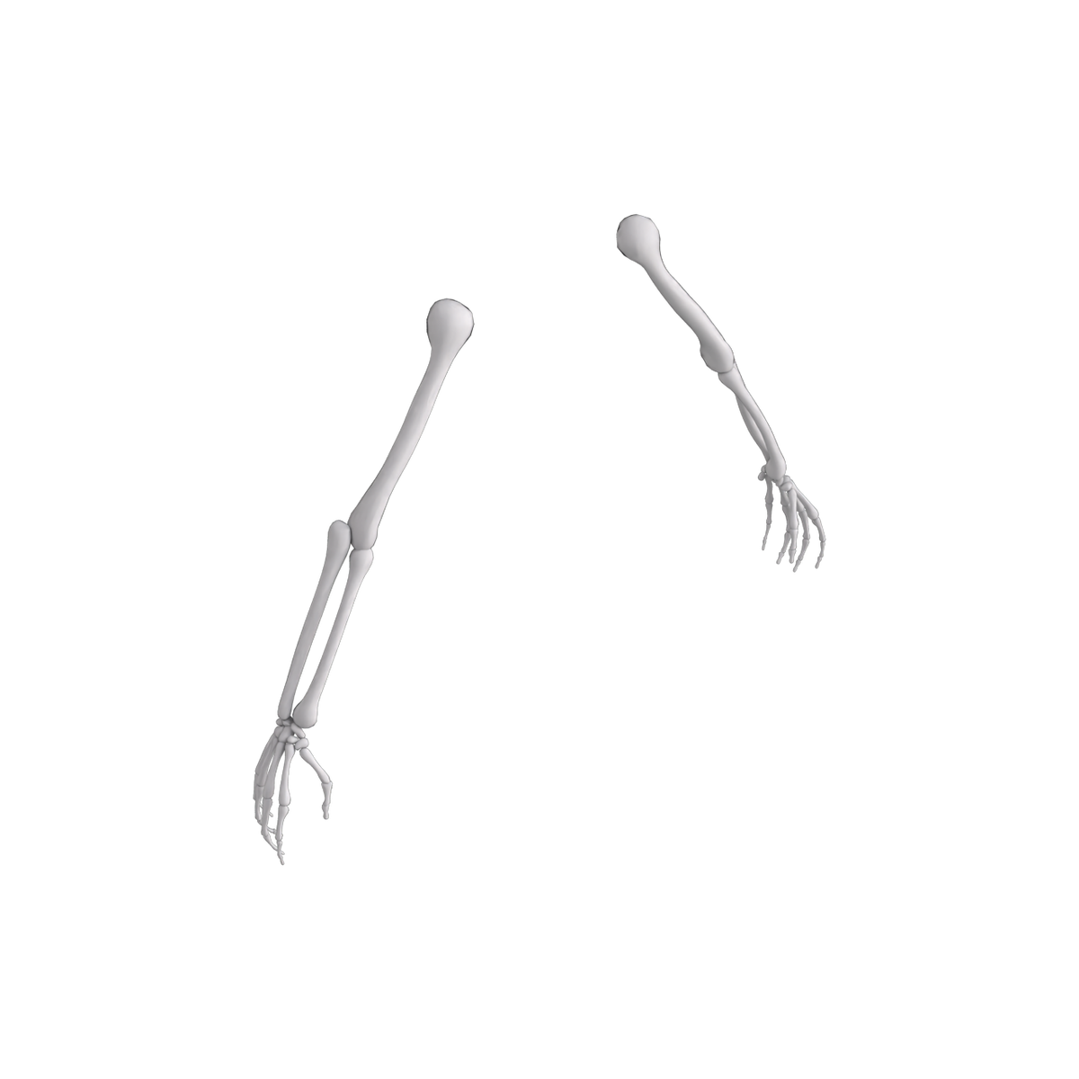 Skeleton Arms on Substance 3D Assets