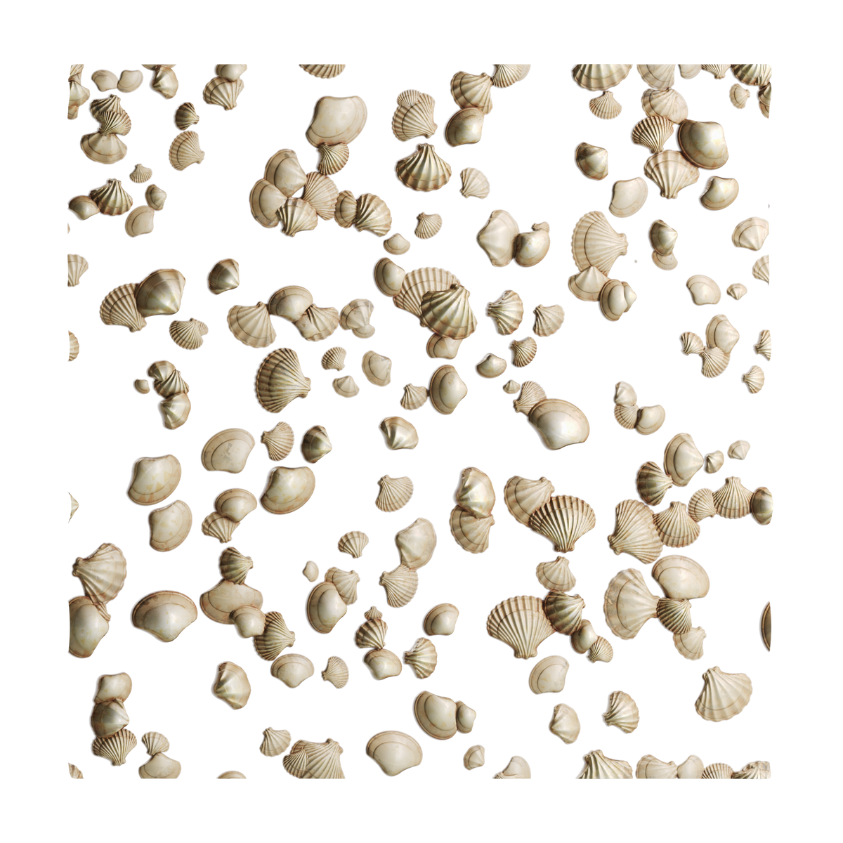 Stylized Sea Shell on Substance 3D Assets