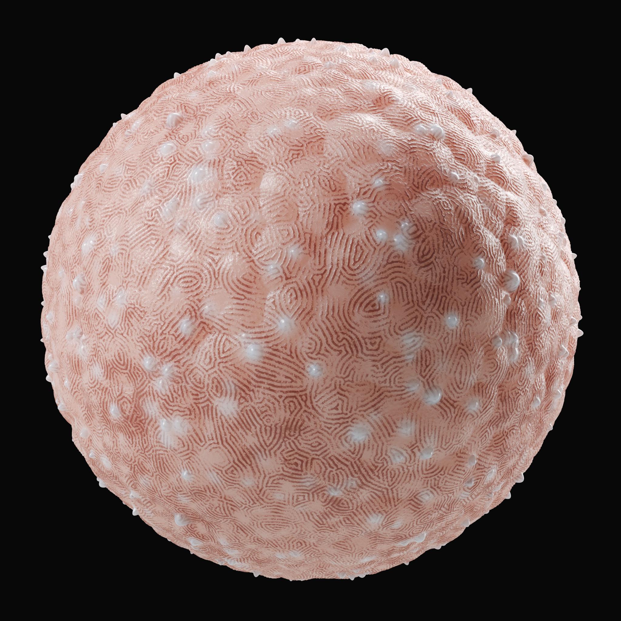 Virtual Reality Headset Exploded View on Substance 3D Assets